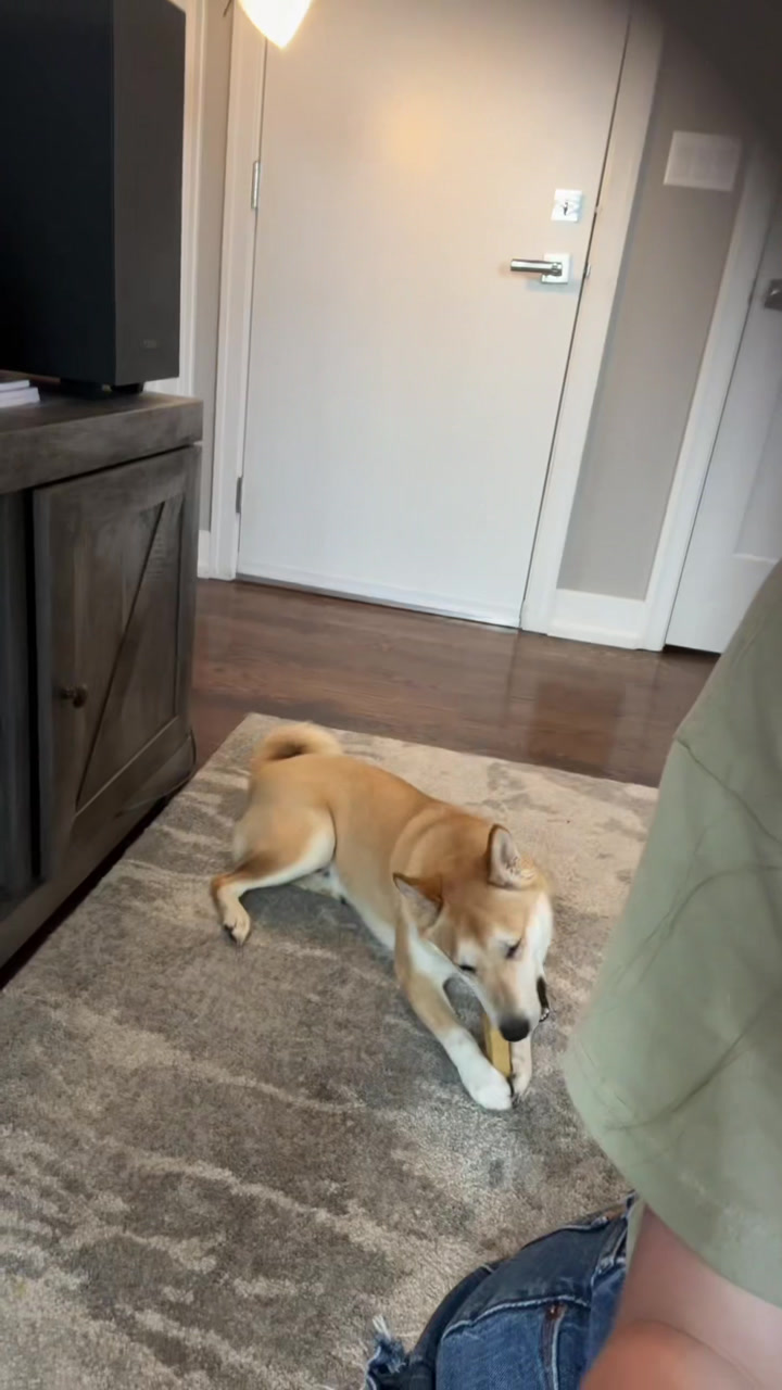 Jessica Mack | Influencer & Creator : TikTok, YouTube, Amazon ...