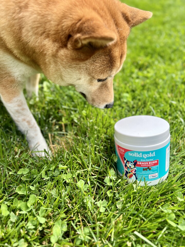 Jessica Mack | Influencer & Creator : TikTok, YouTube, Amazon ...